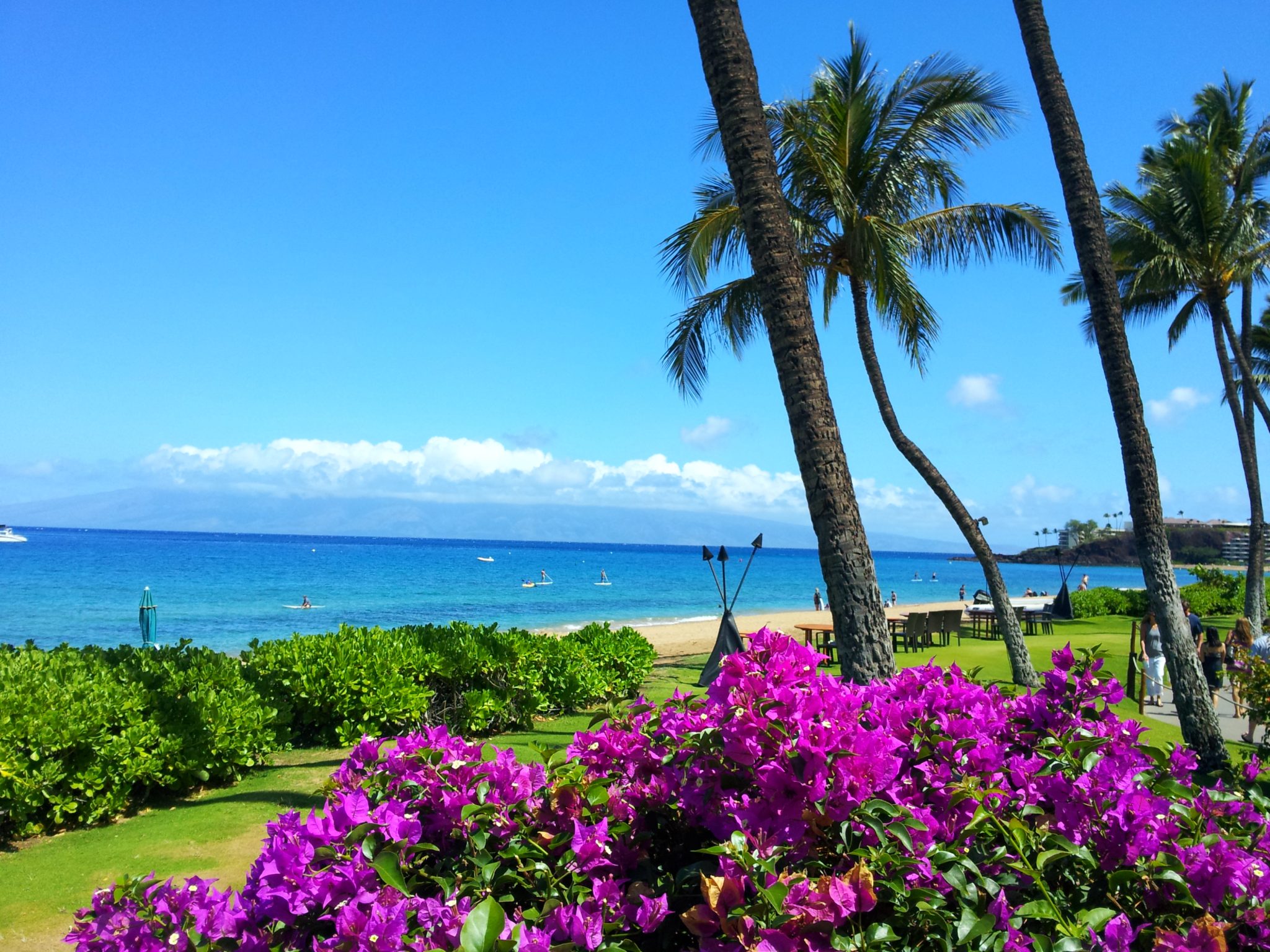 Delta Has 3 New Nonstop Hawaii Routes from Detroit, New York-JFK and ...