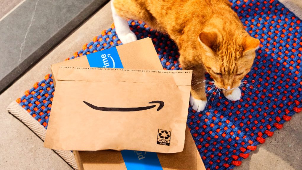 New Amazon Promo for Citi ThankYou Cards - Danny the Deal Guru
